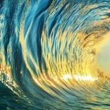 26fall 医学PhD求定位