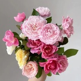 我真是太会吃了